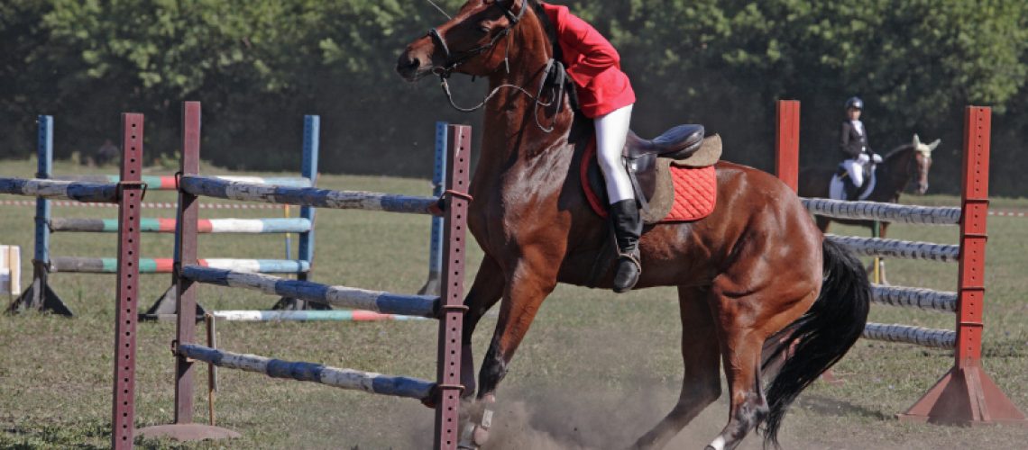 Every Horse Trainer is Guilty of This - Lynn Baber